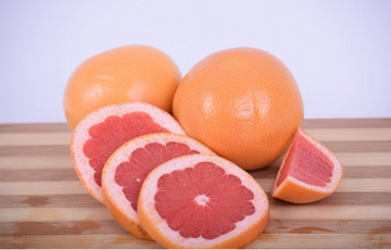 Florida Citrus Trees – Murphy Citrus Nursery