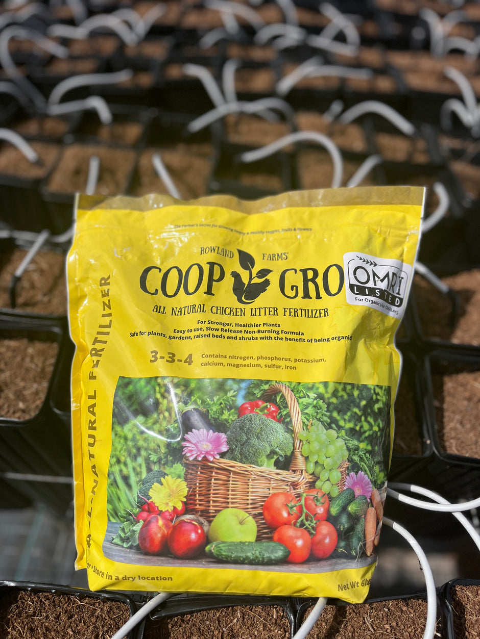 Florida Citrus Trees – Murphy Citrus Nursery