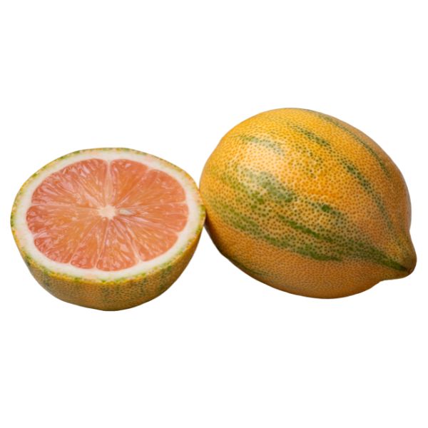 Pink Variegated Lemon Tree - Free Shipping Included – Murphy Citrus Nursery